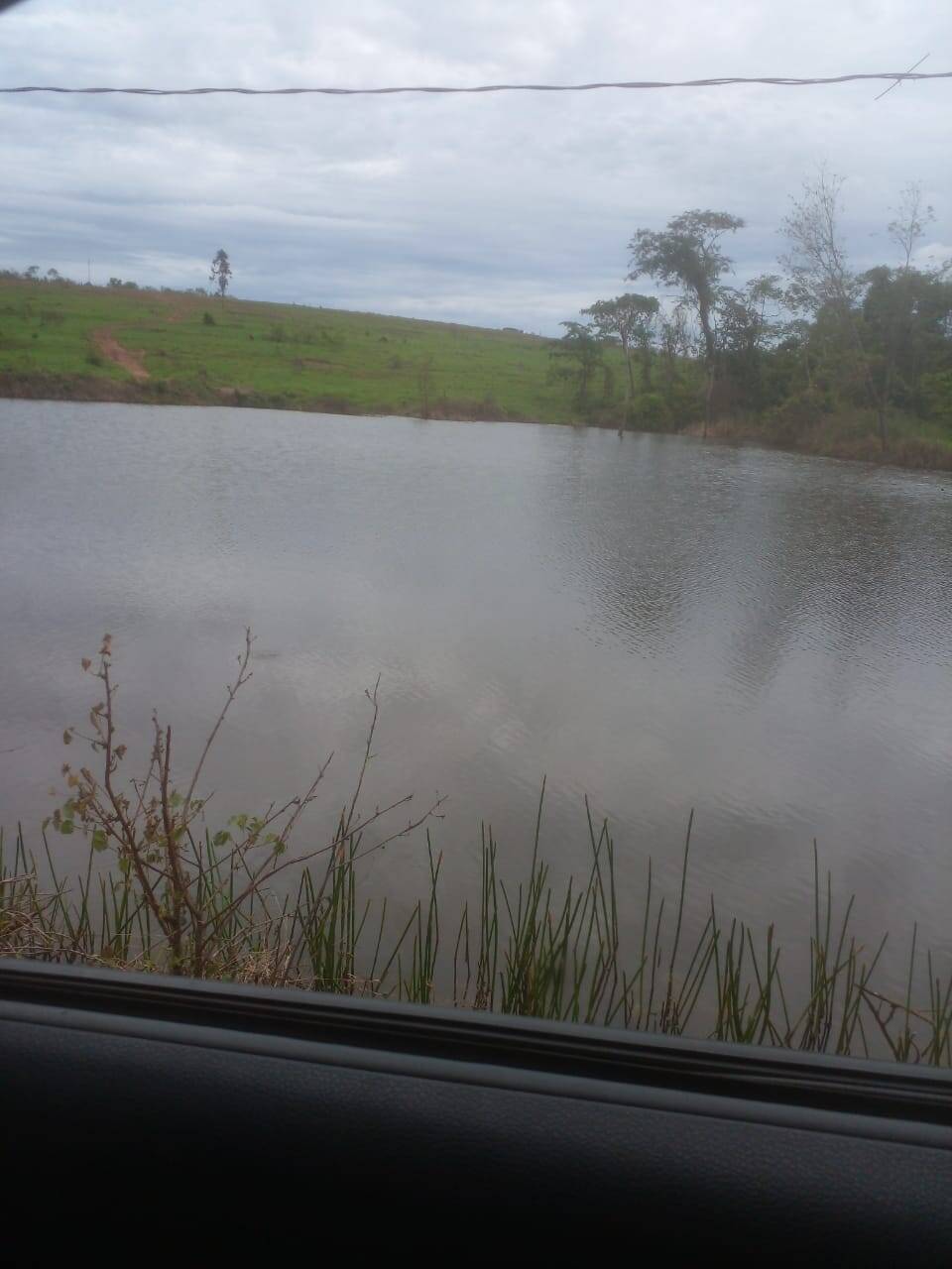 Excelente fazenda em Delta-MG, próxima à usina - 690